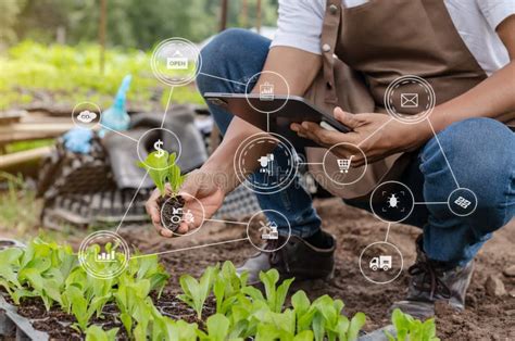 Agriculture Technology Farmer Woman Holding Tablet Or Tablet Technology To Research About