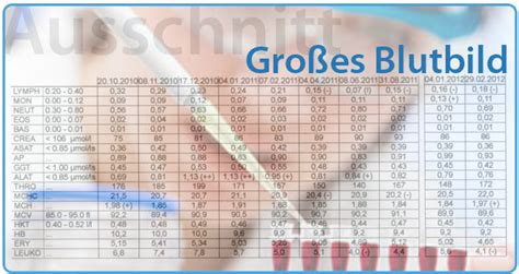 Was Macht Ein Neurologen Untersuchungen Und Aufgaben Dr Stephan