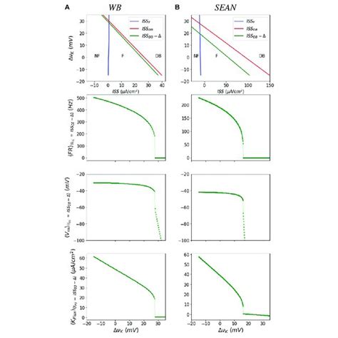 Parametrization Of The Neural Masses For The Wb A And Sean B Download Scientific Diagram