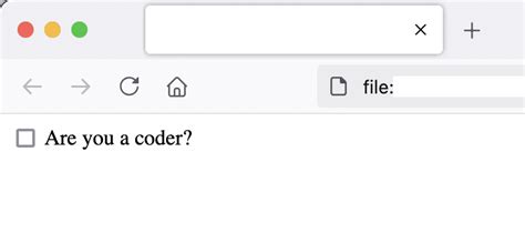 How To Add A Checkbox In HTML ProgrammerAbroad