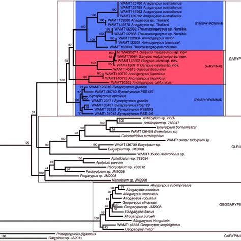 Bayesian Inference Phylogeny Using The Concatenated Dataset Posterior