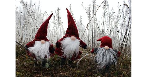 100 Christmas Gnome Wallpapers