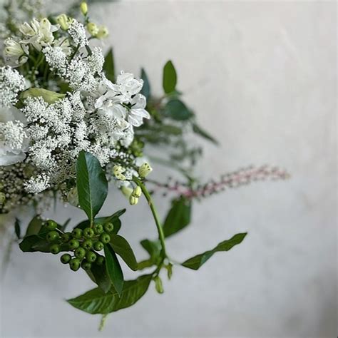 우아하게 춤추는 꽃 바일라 Linktree