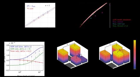 The Interplay Of Stochastic And Deterministic Sources Of Diversity Download Scientific Diagram