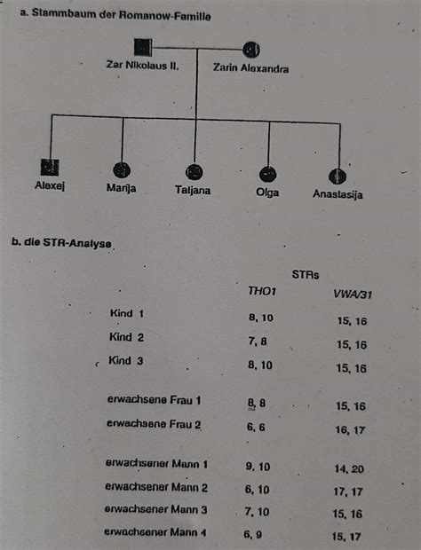 Str Analyse Genetik Menschen Medizin Familie