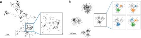 Single Molecule Localization Microscopy Smlm Datasets Exhibit Density