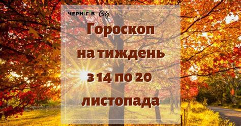 Підбадьорливий гороскоп для українців на тиждень з 14 по 20 листопада Новости Section Ukr Net