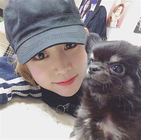 [근황] 러블리즈 Lovelyz 서지수 황금빛 사막여우 네이트 연예