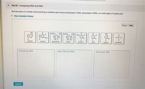 solved part b comparing rna and dna sort the parts of a