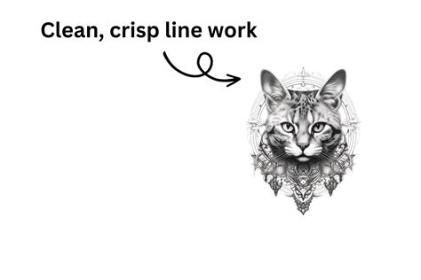 Cat Stamps Procreate Cat Procreate Stamps Procreate Cat Procreate