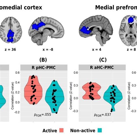 Between Group Differences In Resting State Functional Connectivity Of
