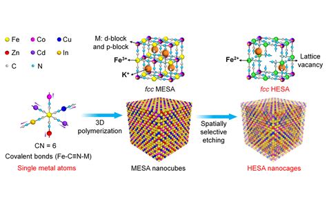 General Synthesis Of High Entropy Single Atom Nanocages For
