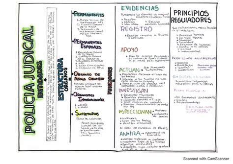 Organigrama Organos De Policia Judicial Pdf