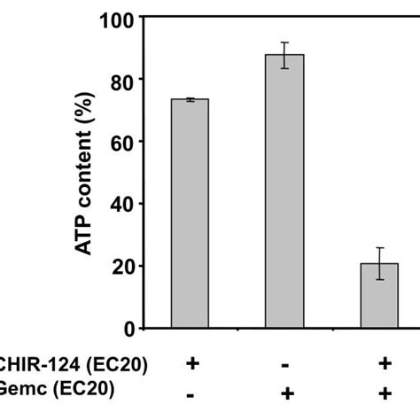 Spatio Temporal Response Of Capan 2 Spheroid To Gemcitabine Analysis Download Scientific
