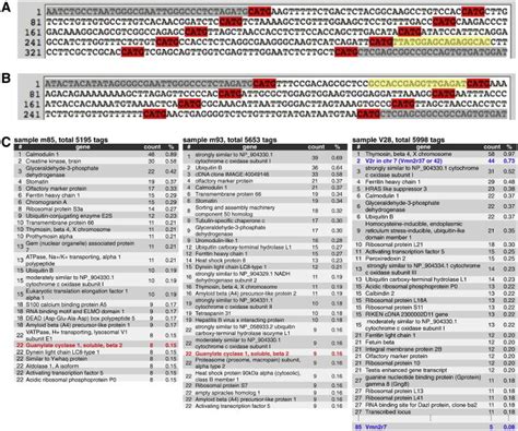 Long Serial Analysis Of Gene Expression Longsage Of Single