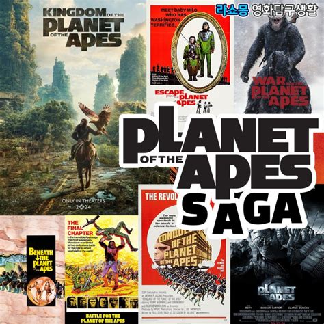 혹성탈출 시리즈 순서 시간순 개봉순 시저 팀버튼 진화의 시작 반격의 서막 종의 전쟁 새로운 시대 지하도시의 음모 최후의 생존자 노예들의 반란 Sf 영화