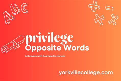 What Is The Opposite Of Privilege Example Sentences