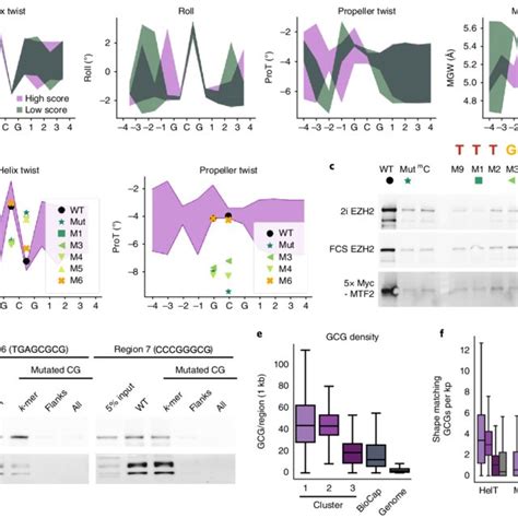 Extended Characterization Of Chip Seq Data A B Heatmap Left And