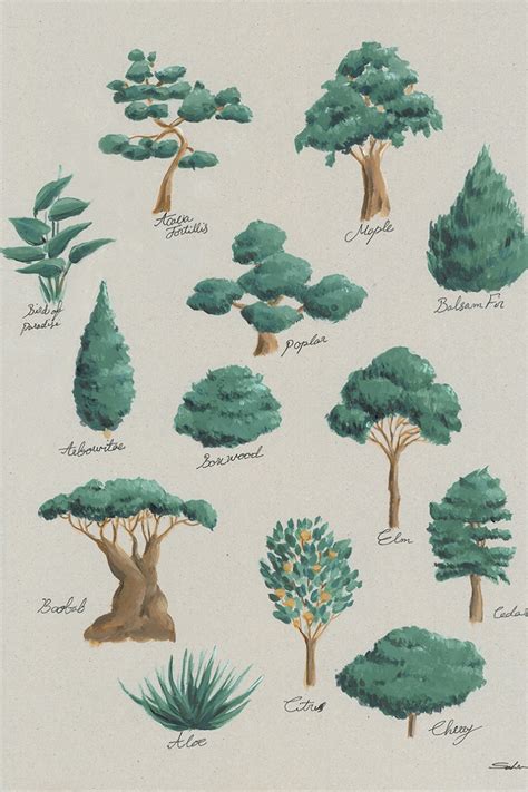 Nextart Trees Chart