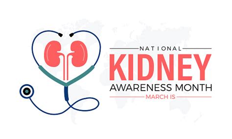 매년 3 월 전국 신장의 달 관찰 의료 인식 벡터 배너 전단지 포스터 및 소셜 미디어 템플릿 디자인 개념에 대한 스톡 벡터 아트 및 기타 이미지 Istock