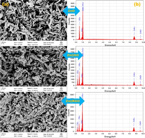 A Fesem Images And B Edx Spectra Of Fabricated Samples Download