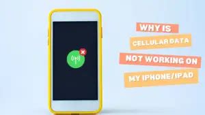 7 Ways To Fix Cellular Data Not Working On IPhone IPad
