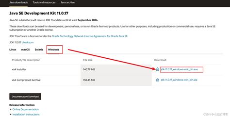 Jdk11下载、安装及环境配置详解（win10环境）java11下载 Csdn博客