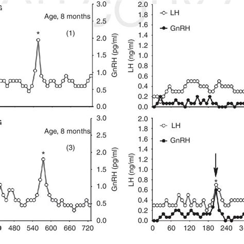 Patterns Of Secretion Of GnRH In V CSF And Of LH In Plasma Of Download Scientific Diagram