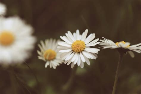 Linkedin Background Devops Photos Download The Best Free Linkedin Background Devops Stock