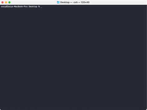 20 mac terminal commands every user should know itsc