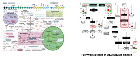 Pathway Analysis For Metabolomics