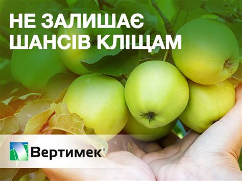ВЕРТИМЕК 018 EC, КЕ - Інсектициди | Сингента Україна