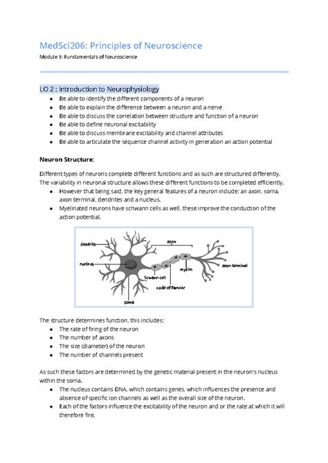 Module 1 Intro To Neurophysiology MedSci206 Principles Of Neuroscience Module 1