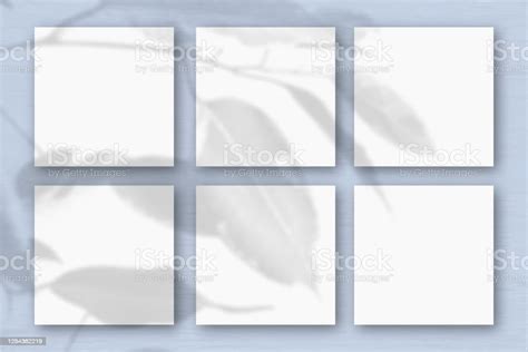 파란색 벽 배경에 흰색 질감 종이 6 평방 시트 식물 그림자가 있는 모형 오버레이 자연광은 이국적인 식물에서 그림자를 투사합니다 플랫 레이 상단 보기 0명에 대한 스톡 벡터