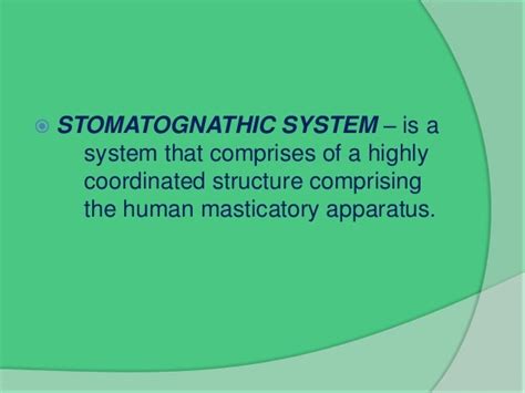 Stomatognathic System
