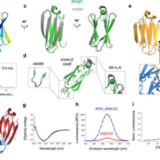 Topology Of Immunoglobulin Like Domains A Three Dimensional Cartoon