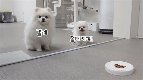 결계 절대 지켜 Youtube