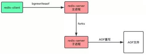 10分钟彻底理解redis的持久化机制：rdb和aof 乖怪丶 博客园