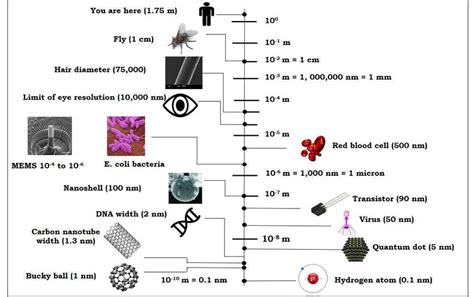 Nanometer Scale Comparison