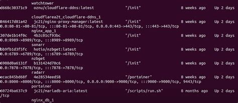 Docker Ps Output Addicted To Tech