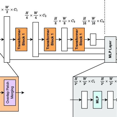 Segformer Architecture With Feature Maps Shapes Download Scientific