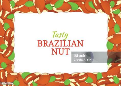 가로 사각형 색된 프레임 구성 브라질 견과의 맛 있는 벡터 카드 그림입니다 건강한 식생활에 대한 스톡 벡터 아트 및 기타 이미지 건강한 식생활 디자인 디자인 요소