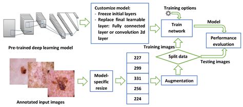 On The Automatic Detection And Classification Of Skin Cancer Using Deep Transfer Learning