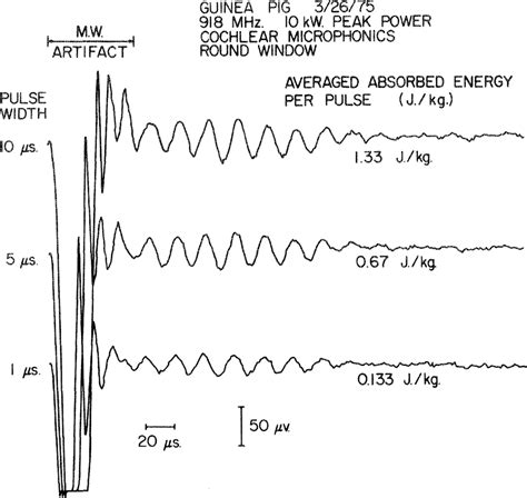 Figure 4 From Cochlear Microphonics Generated By Microwave Pulses