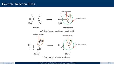 Predicting Novel Metabolic Pathways Through Subgraph Mining Pdf