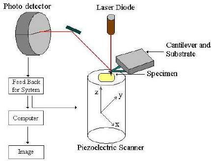 A Schematic Diagram Of Atomic Force Microscope With Main Components Download Scientific