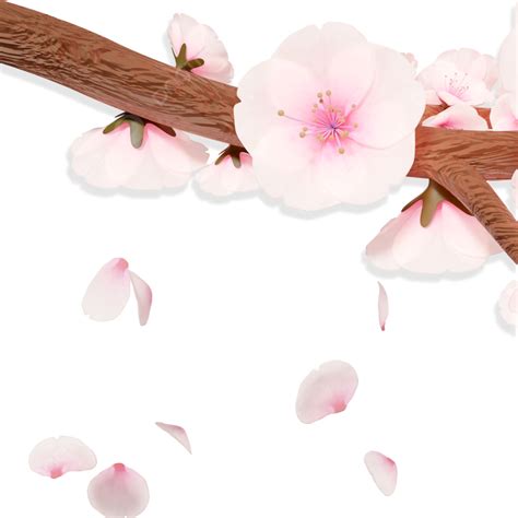 Wood Tree Limb PNG Vector PSD And Clipart With Transparent Background For Free Download Pngtree