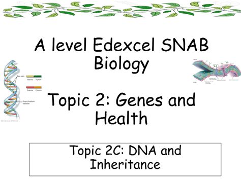 Edexcel SNAB Biology Topic Genes And Health Topic C DNA And Inheritance Teaching