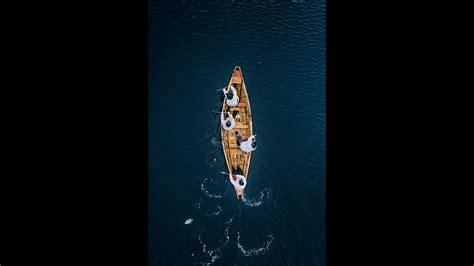 ვეშაპის სეზონი