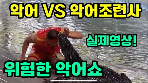 위험한 악어쇼 실제영상 깜짝 놀랄 순간들 Youtube